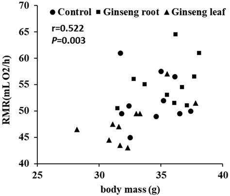 relationships between rmr and body mass correlation analysis