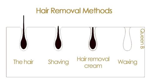 Shaving Versus Waxing - What is the difference? Benefits, results and more