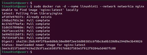 Cómo Implementar Haproxy En Un Contenedor Docker Muylinux