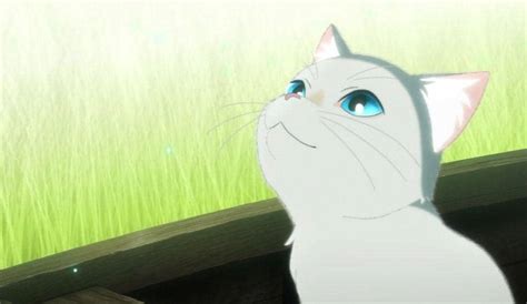 Pelajaran Hidup Dari Anime A Whisker Away Idn Times