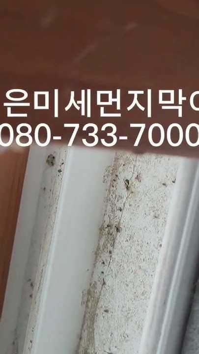 5년전 당진화력발전소 인근에 설치된 나은미세먼지막이 점검 창문 학교 소리 바람 미세먼지 에너지절약 화력발전소가동축소 Youtube