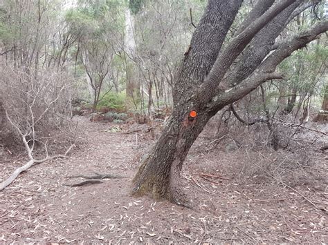 Cube Rock Scoop Digital Australias Largest Lifestyle And Travel Network