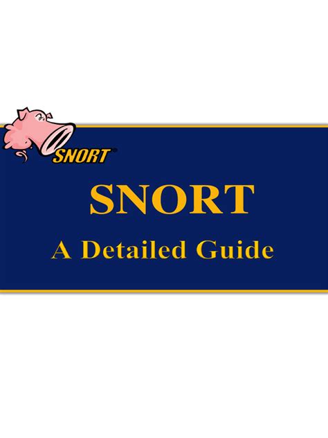 Snort Detailed Guide 1718839666 Pdf Transmission Control Protocol Port Computer Networking