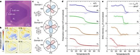 Linear Dichroism And Birefringence Induced Polarization Rotation