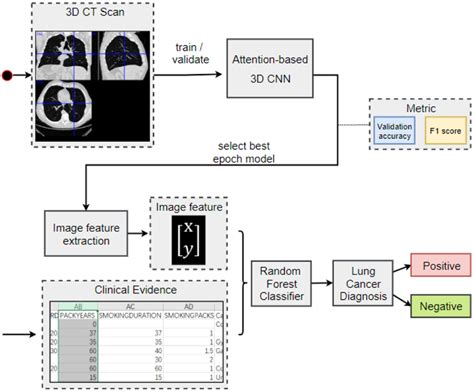 Lung Cancer Detection Using Co Learning From Chest Ct Images And