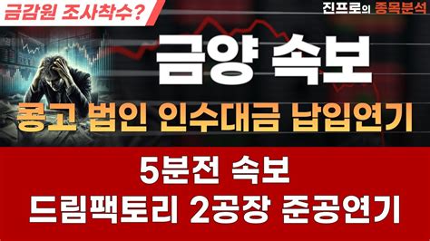 금양 충격 기장 2차전지 공장 투자완료 5개월 연장 금양 상장폐지 수순 금양 금양주가전망 금양매도가 금양리튬광산