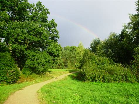 Радуга | Капельками дождя рисуя на мрачном лике небес радост… | Flickr