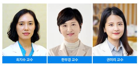 메디칼타임즈 유방조영술자동유방초음파 동시 진행 숨은 종양까지 찾는다