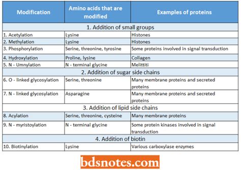 Post Translational Modifications Of The Protein Bds Notes