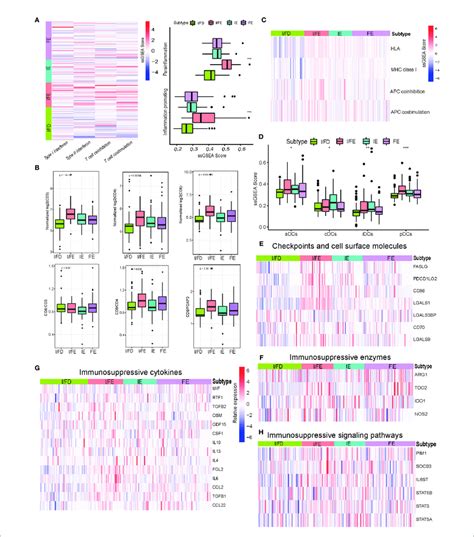 A Heatmap Of Median Ssgsea Scores Of Specific Antitumor Immune