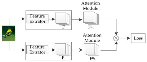 attention bilinear pooling for fine grained classification