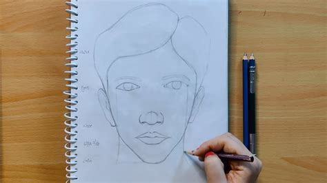 How To Draw Face Basic Proportion Male Face Youtube