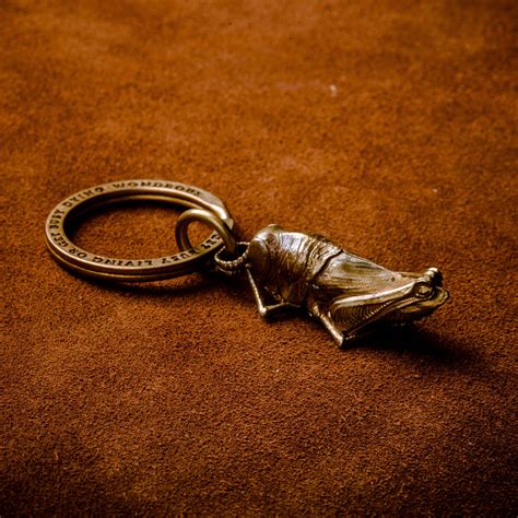 Locust Grasshopper Coppertist Locust Grasshopper Coppertist