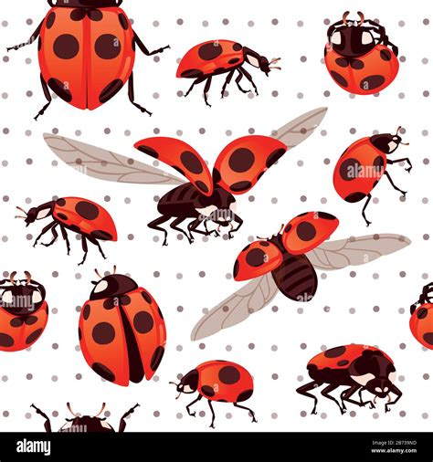 Cartoon Flying Ladybug