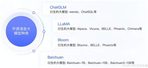 一文搞懂llm大模型！llm从入门到精通万字长文（202412月最新）llm模型 Csdn博客