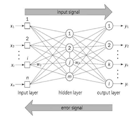 training weight using backpropagation download scientific diagram