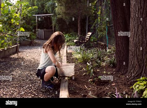 Girl Planting Tree Hi Res Stock Photography And Images Alamy