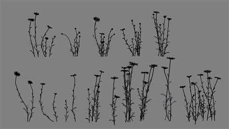 Daisy Model Turbosquid 1925278