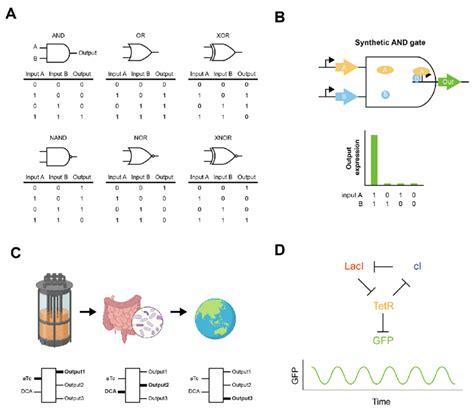 A Logic Gates And Their Truth Tables B One Example Of The