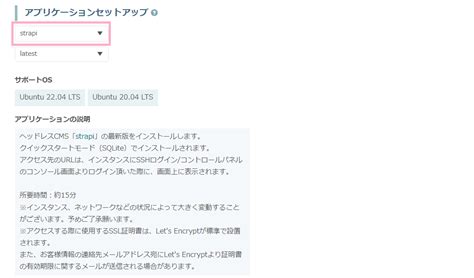 Strapiの利用に最適なvps Kagoya