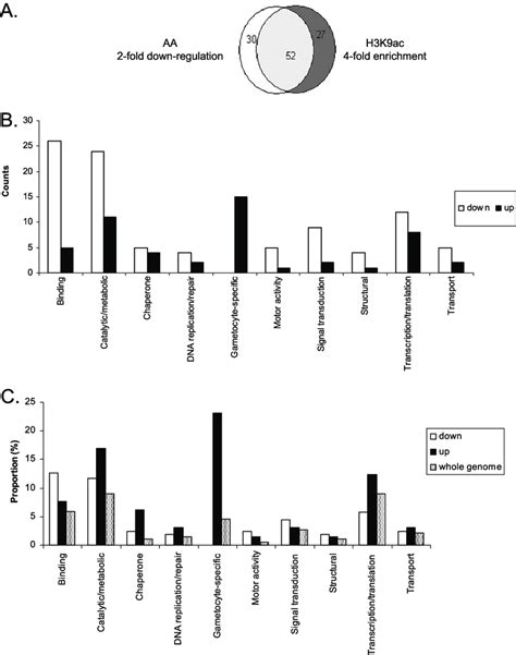 Microarray Analysis To Determine Global Expression Response To 20 M Of