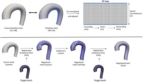 Top Coarse And Fine Template Meshes Used For Registration UV