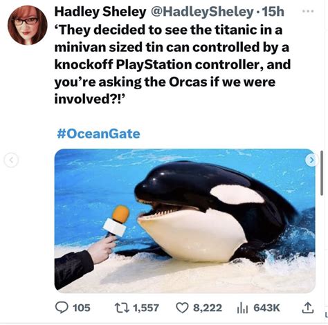 Capsize The Rich” Orca Memes And Anti Capitalist Interspecies