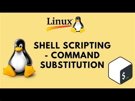 Shell Scripting Command Substitution YouTube