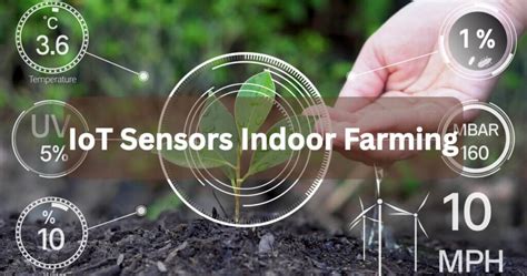 Iot Sensors Indoor Farming Boost Yields Like Never Before