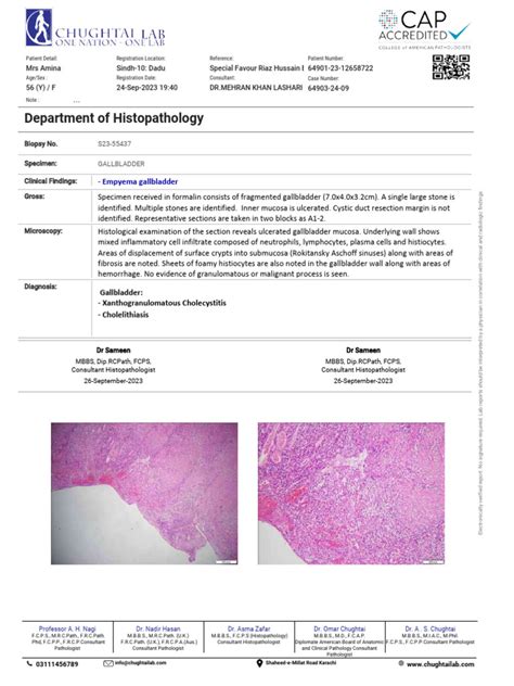 Report Viewer Pdf Histopathology Pathology