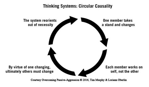 Circular Causality Maryland Teletherapy All Ages With Loriann Oberlin
