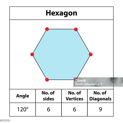 Hexagon Shapes Angles Vertices Sides Diagonal With Colors Fields For