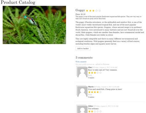 Implementing Rating On Products And Pages