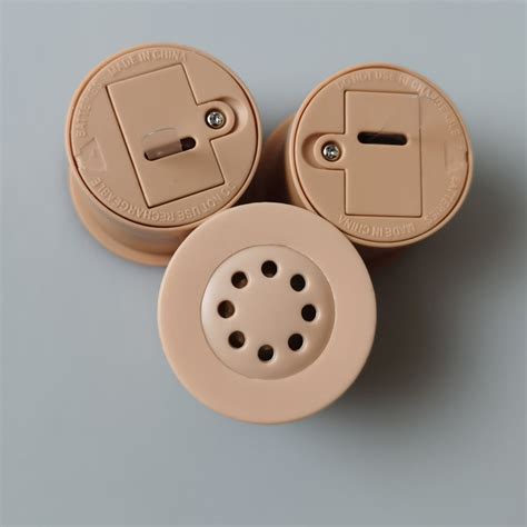 OEM Sound Chip Voice Recording Module Sound Module And Toy Accessories Price