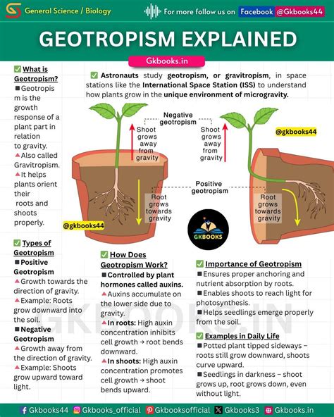 Gkbooks 𝐆𝐞𝐨𝐭𝐫𝐨𝐩𝐢𝐬𝐦 𝐄𝐱𝐩𝐥𝐚𝐢𝐧𝐞𝐝 𝐇𝐨𝐰 𝐏𝐥𝐚𝐧𝐭𝐬 𝐒𝐞𝐧𝐬𝐞 𝐆𝐫𝐚𝐯𝐢𝐭𝐲 𝐚𝐧𝐝 𝐆𝐫𝐨𝐰 𝐢𝐧