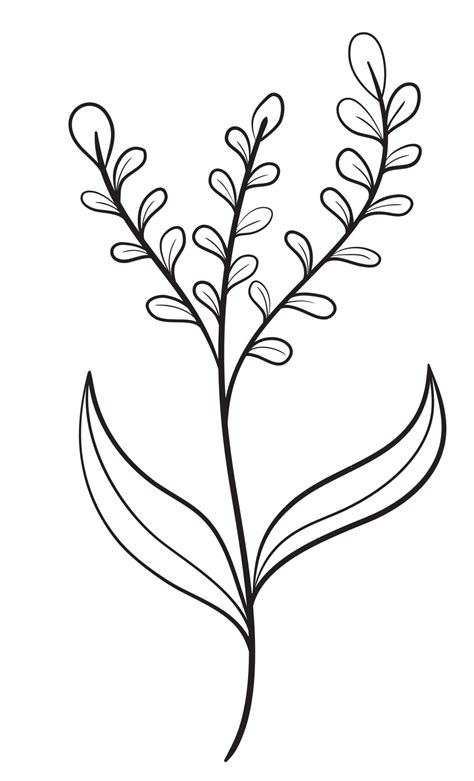 Hand Draw Branch With Leaves Line Art PNG
