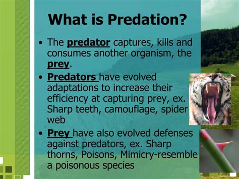 Ppt Ecological Interactions Powerpoint Presentation Free Download