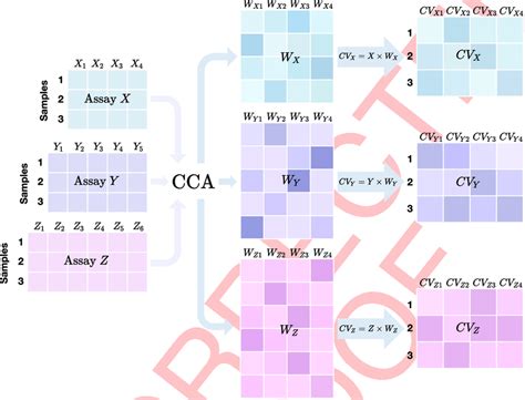 Cartoon Illustration Of A Typical Cca Based Method For Three Assays X