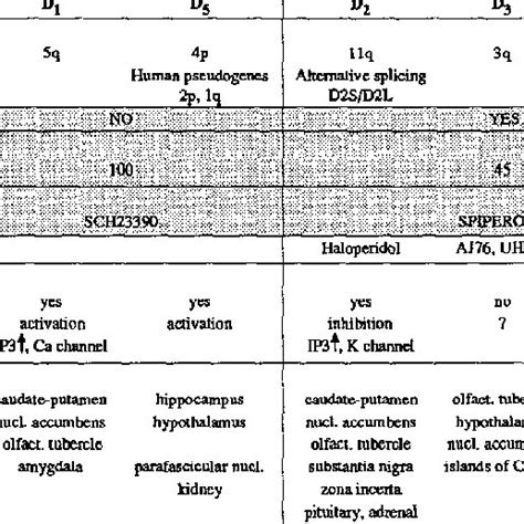 Particularities Of The Different Dopamine Receptor Subtypes Download