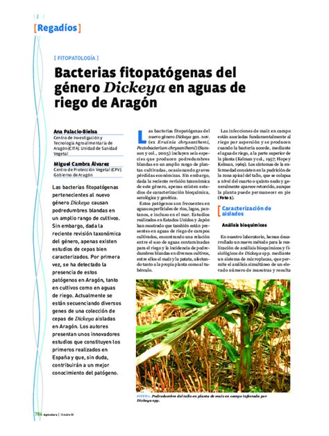 Pdf Bacterias Fitopatógenas Del Género Dickeya En Aguas De Riego De