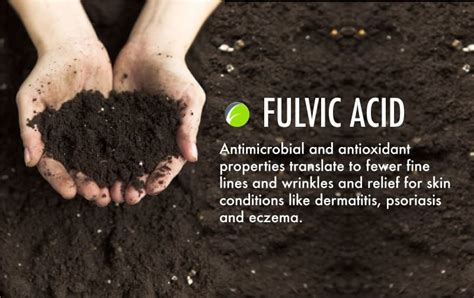 Fulvic And Acid Benefits Fulvic Health