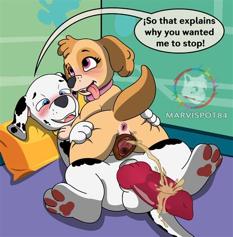 Rule 34 After Sex Animal Genitalia Animal Penis Animal Vulva Anus