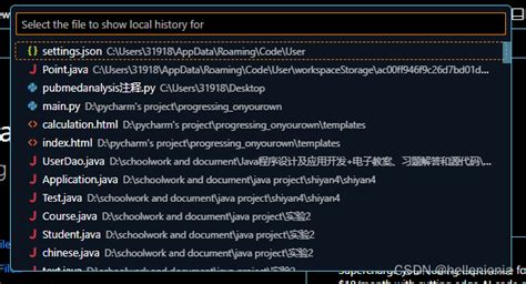 【vscode】查找本地修改历史并恢复已删除文件 vscode历史记录 csdn博客