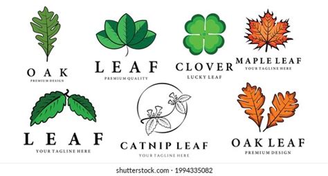 277 Catnip Stock Vectors Images And Vector Art Shutterstock