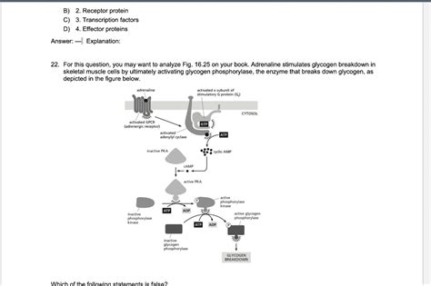 Solved 21 Given The Generic Signaling Pathway In The Figure
