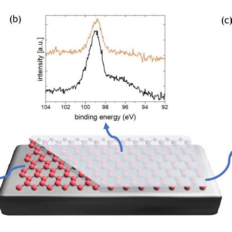 Silicene Based Fets Fabricated Using The Native Silver Substrate To