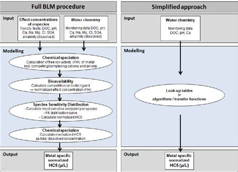 Overview Of The Full Blm Procedure Left And Of The Simplified