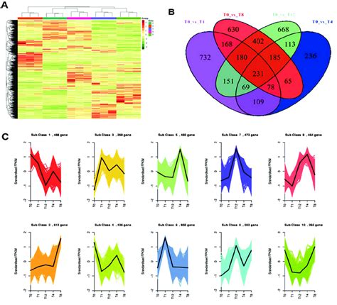 Cluster Analysis Of Gene Expression A Extract The FPKM Expression Of