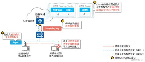 2022 11 10 网工进阶（三十六）ip组播协议 Igmp（v1、v2、v3）、igmp Snooping、igmp Ssm