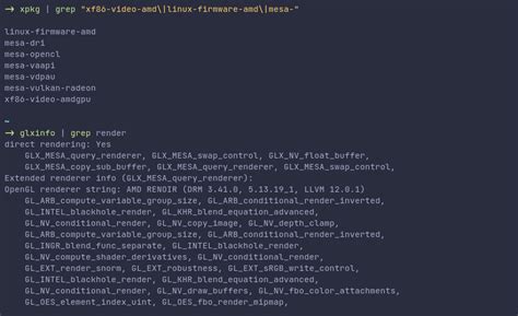 Amd Gpu Software Rendering Rvoidlinux
